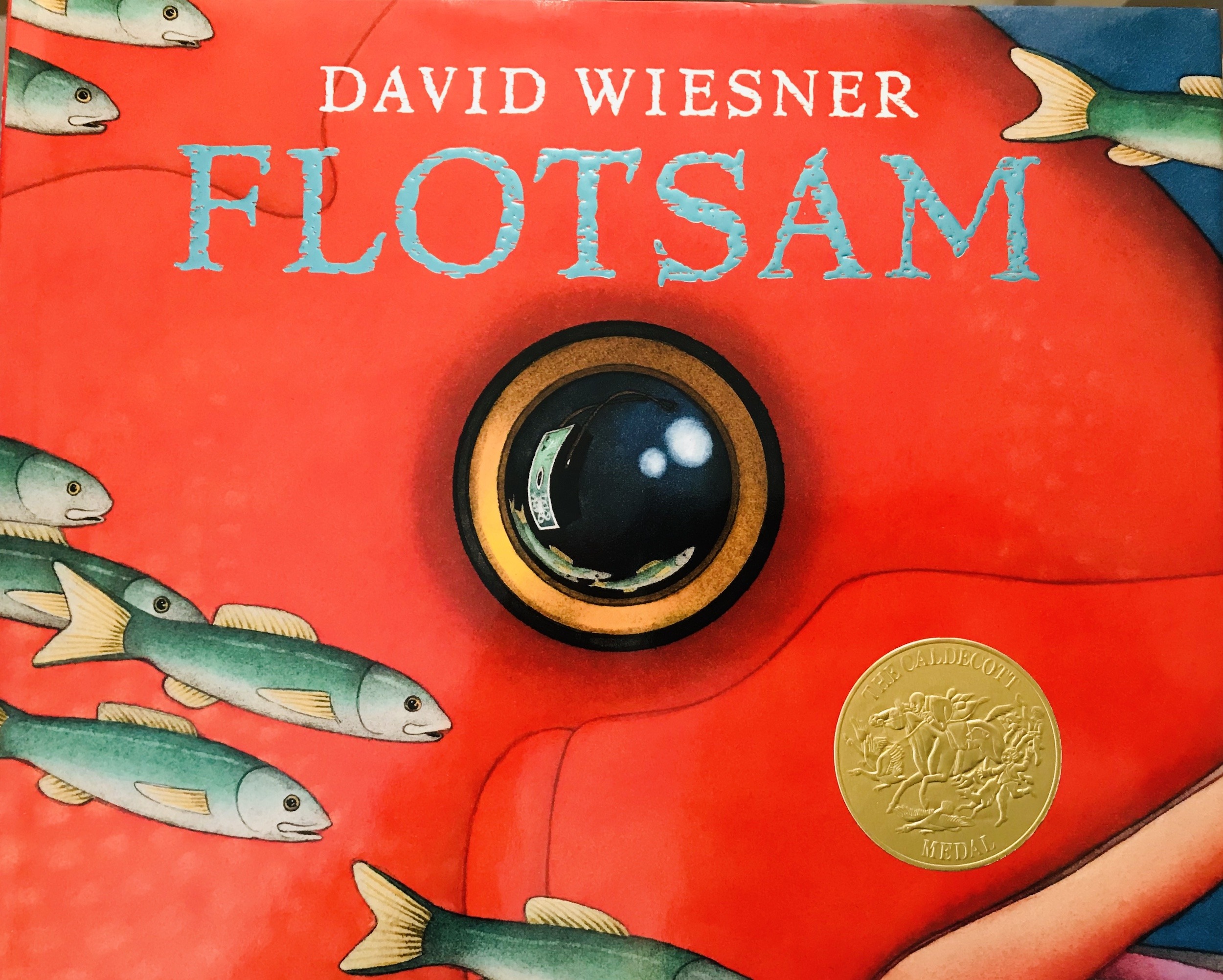 Picturebooks are Excellent Tools for Teaching Literacy